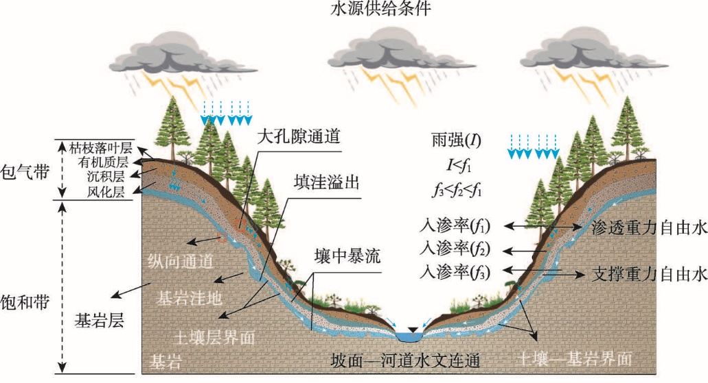 Hydrological mechanism and disaster-causing effects of subsurface stormflow